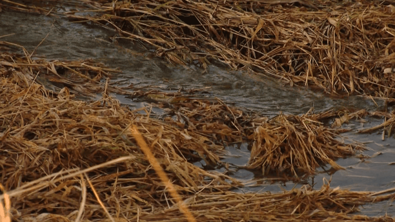 Kewaunee County farm to be cited after manure runoff; residents worry ...