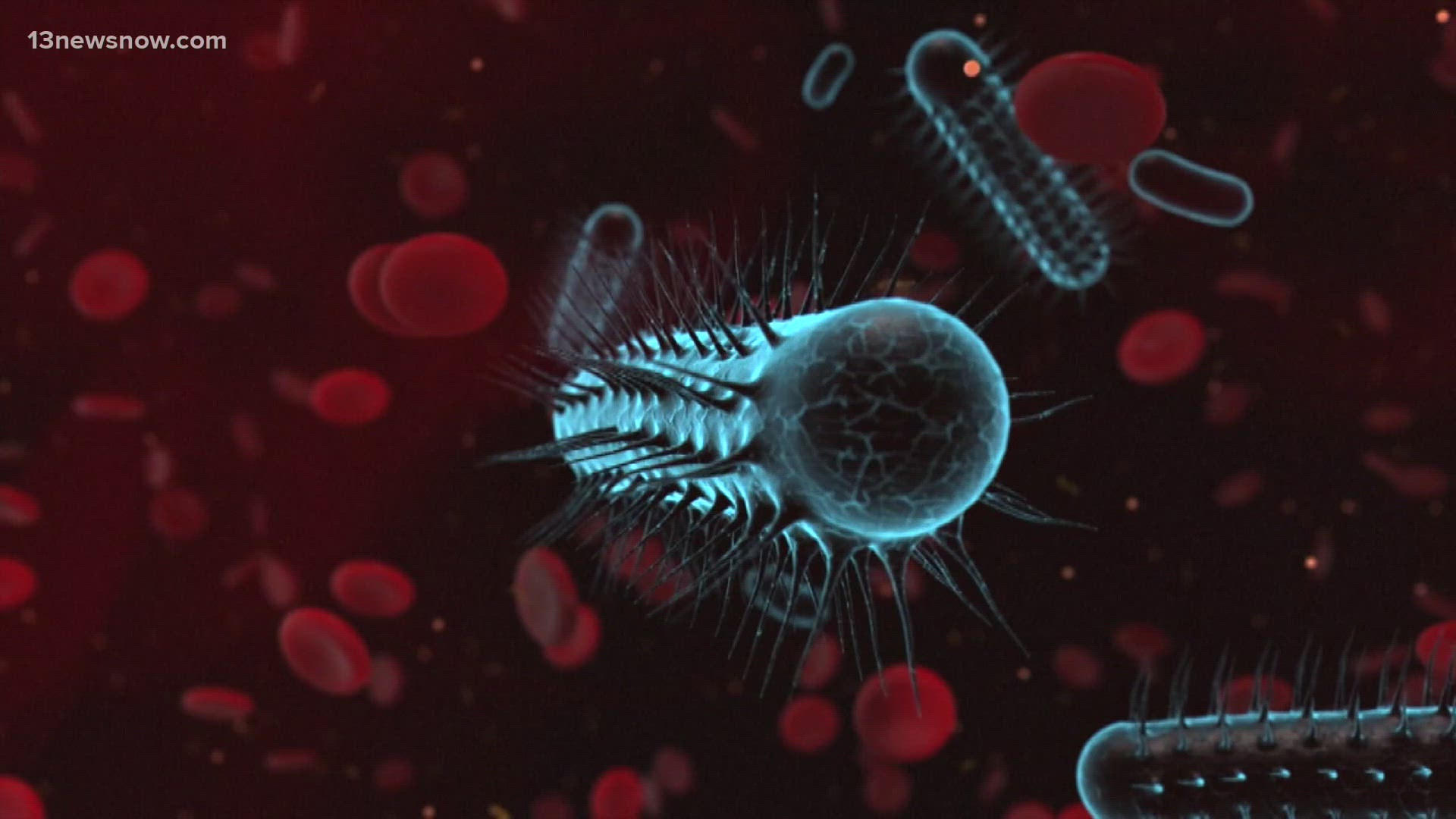 Study links UTIs to food safety