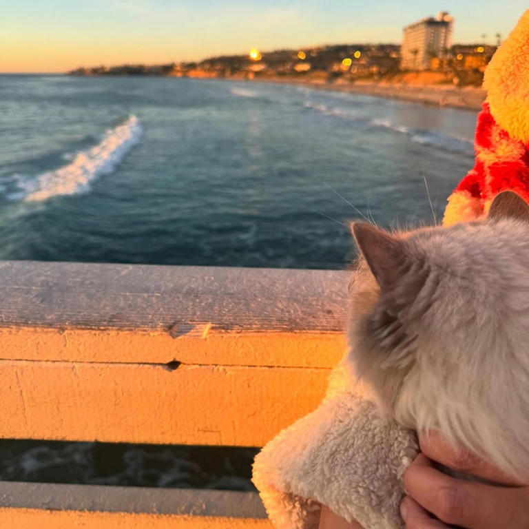 Katie Holmes shares rare photo from sunny family vacation following ...