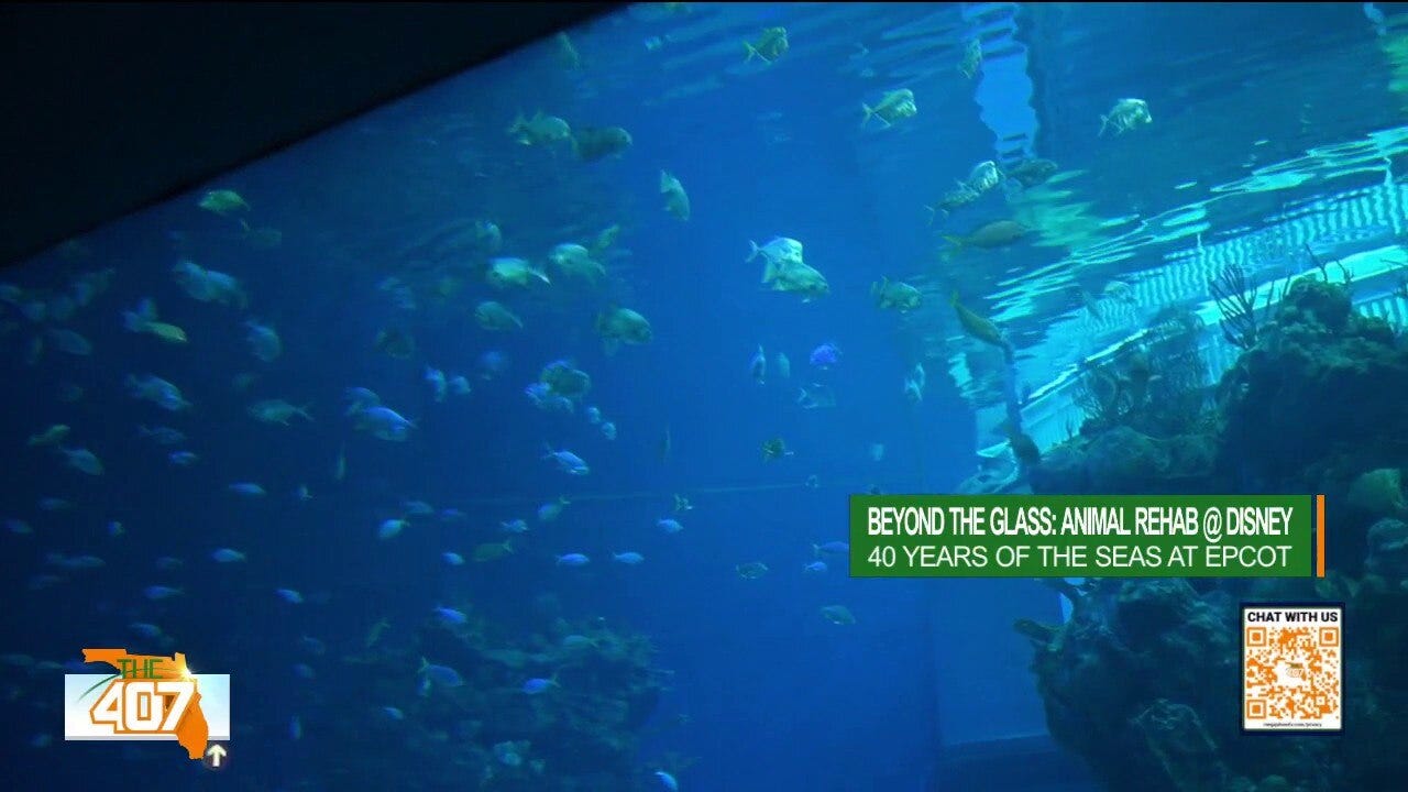 The Seas with Nemo & Friends marks 40 years: Tour & history