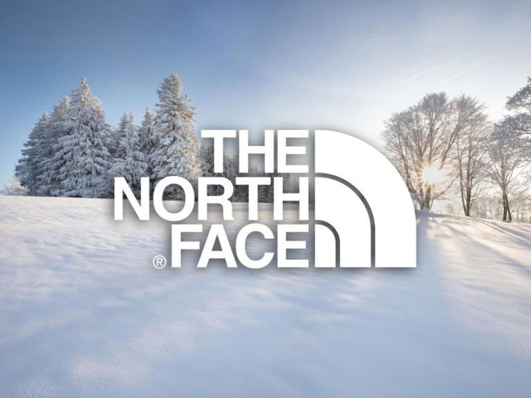 The North Face’s $225 water-repellent down jacket is now just $113 ...