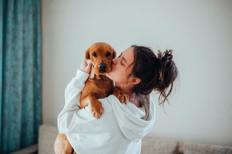 How pet influencers became the internet’s most reliable stars