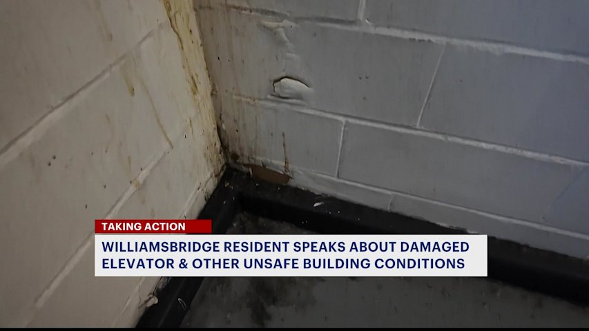 'I feel like I'm trapped.' Williamsbridge tenant living without ...