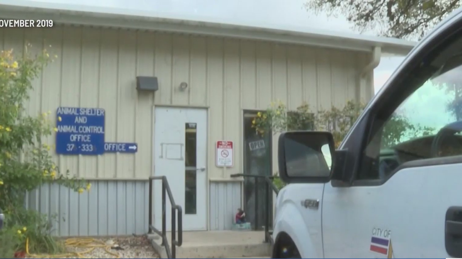 Lockhart Animal Shelter to trap 'nuisance cats' after reports of ...
