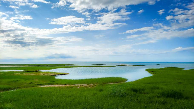 Wadeable white sandy flats, crystal clear water, cruising striped bass ...