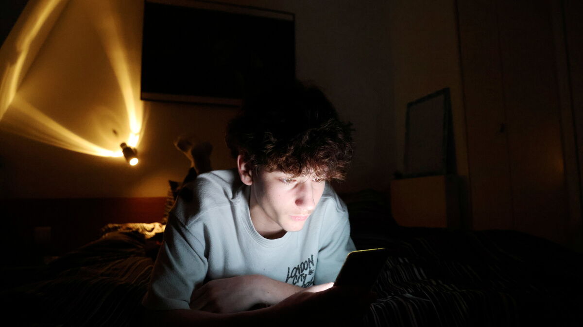 La proposition de loi sur l’interdiction des réseaux sociaux aux moins ...