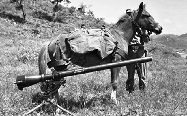 Exclusive: Korean War hero horse Reckless statue erected at Camp Humphreys