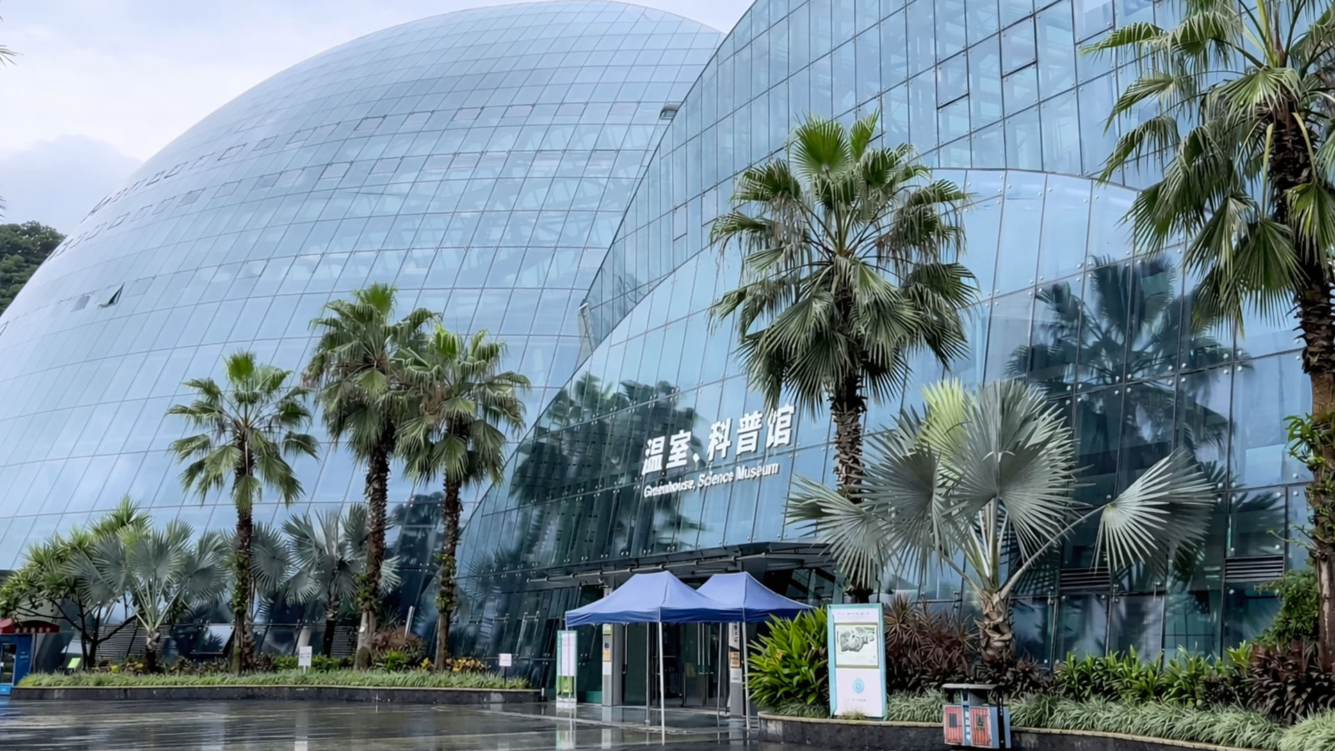 China builds a stunning indoor forest in Huizhou