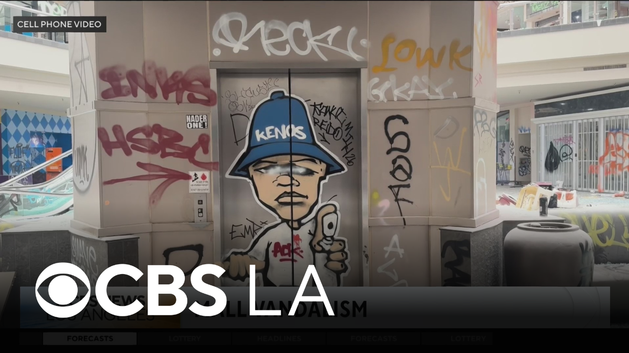 Police arrest 10 more people at Westminster Mall hours after denouncing ...