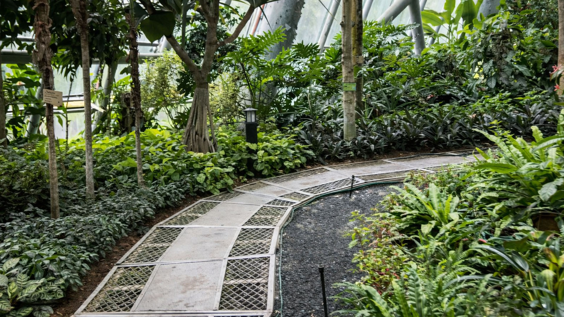 A serene walkway surrounded by nature in Huizhou