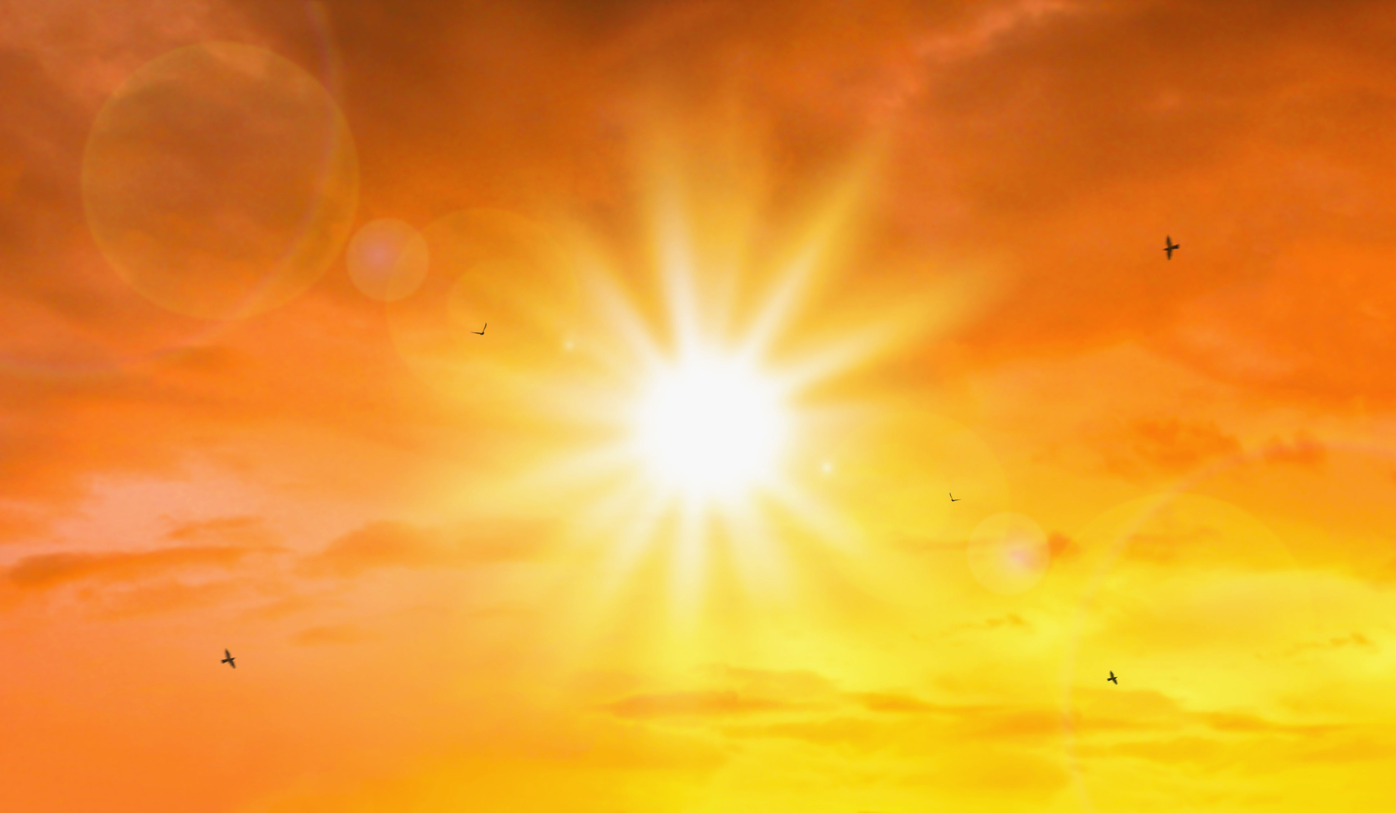 'This will be catastrophic' says Leeds scientist as report confirms ...