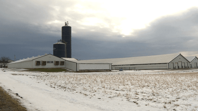 Kewaunee County farm to be cited after manure runoff; residents worry ...