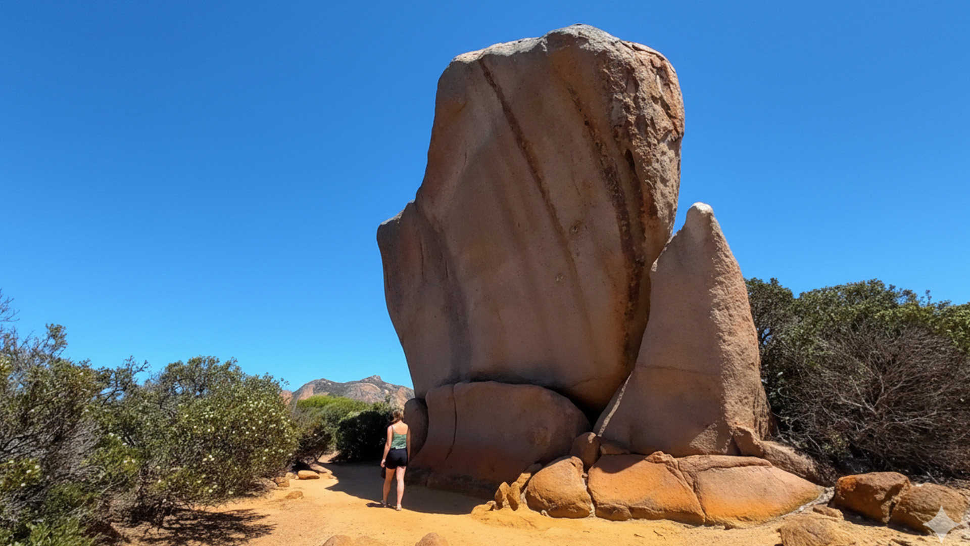 Nature’s hidden giant in Australia