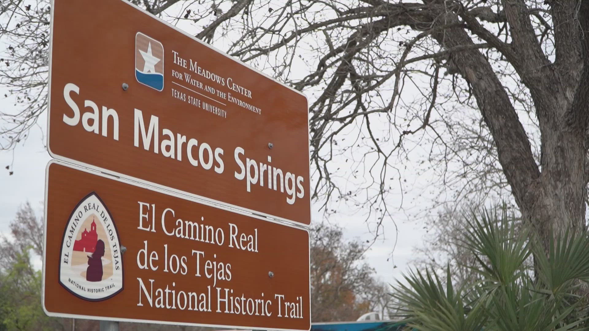 Hays County warns of rabies outbreak