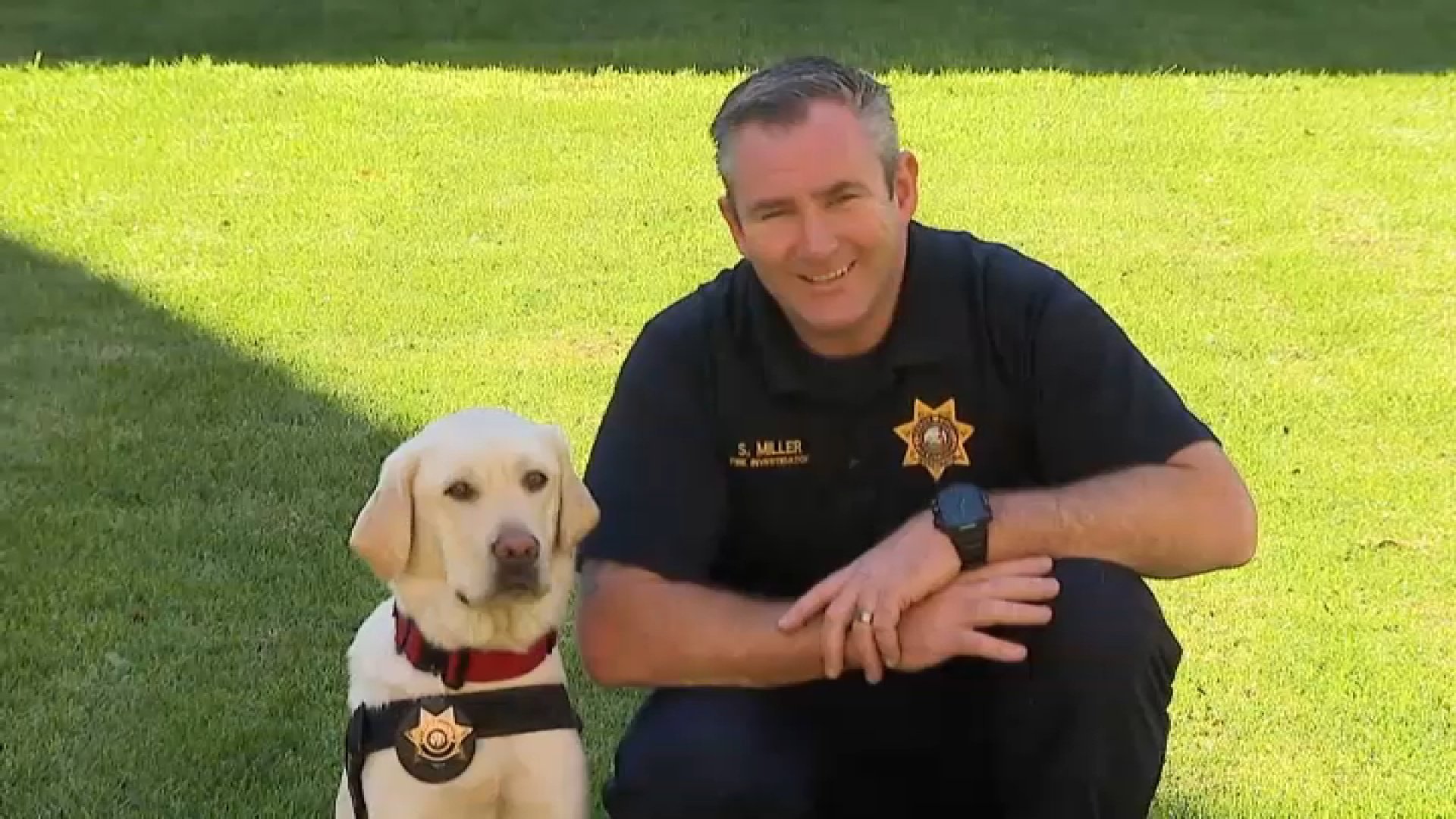 Meet Timber, Orange County's only fire accelerant detection K-9