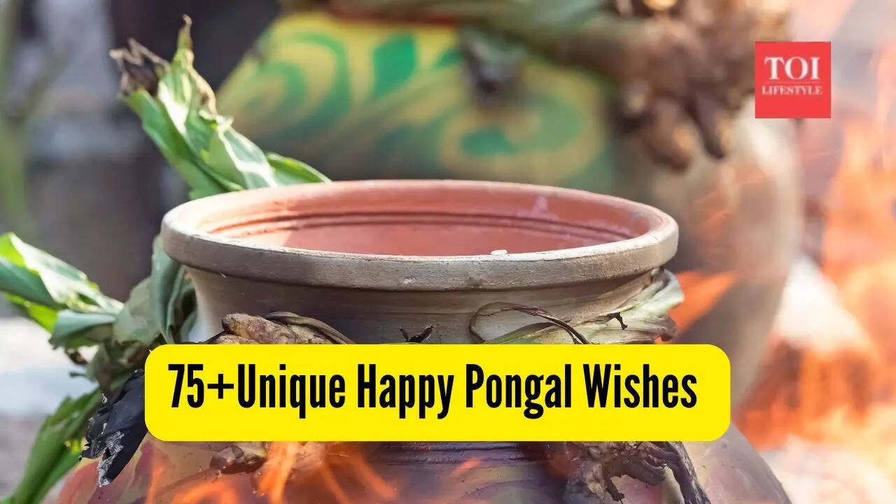 95+ Happy Pongal messages, greetings card, wishes and quotes for 2026 ...