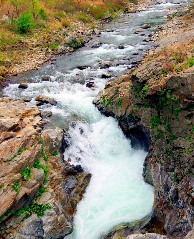 코레일관광개발, DMZ·미식 등 5극 3특 여행으로 지방시대 개척