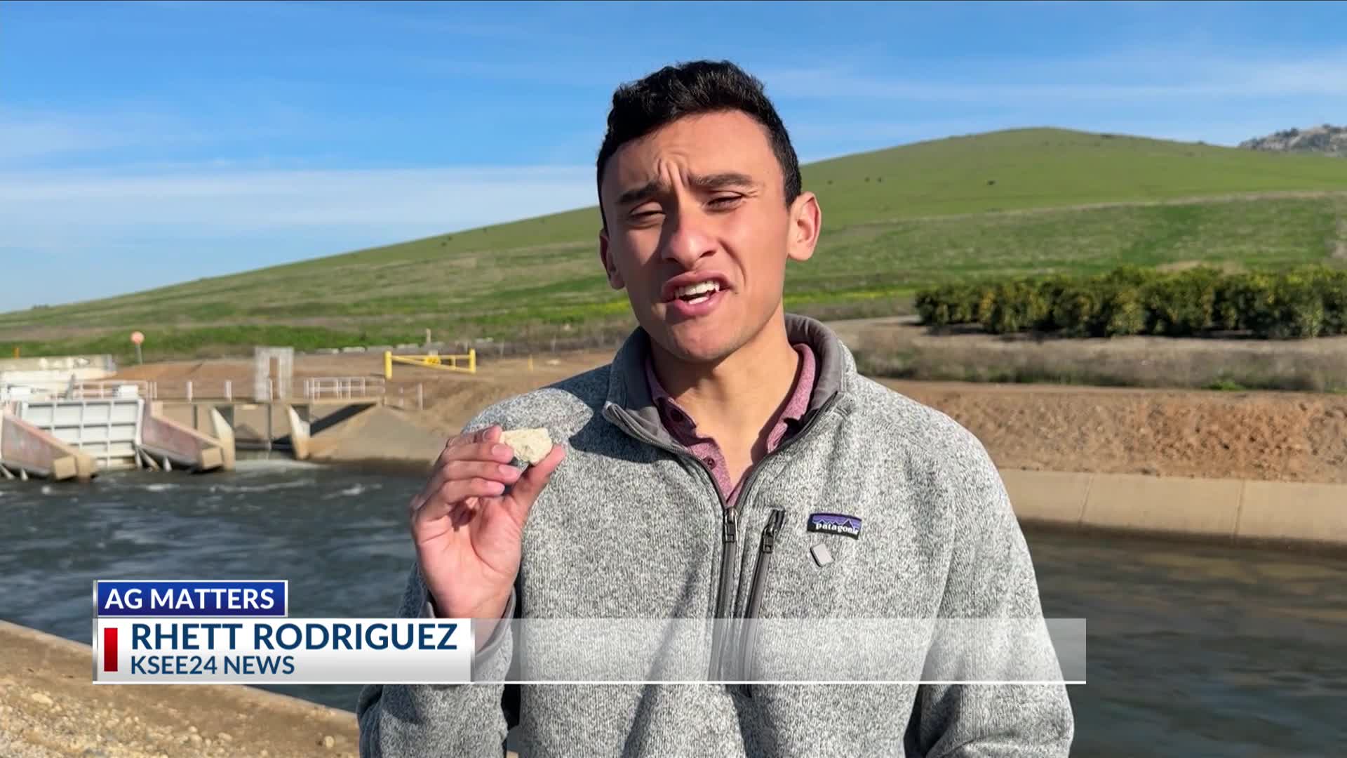 New invasive species discovered in the Central Valley