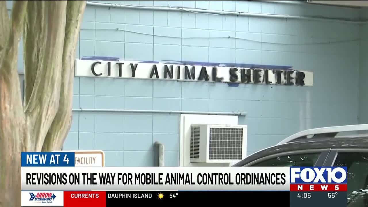 Mobile officials eye tougher animal control penalties as hundreds ...
