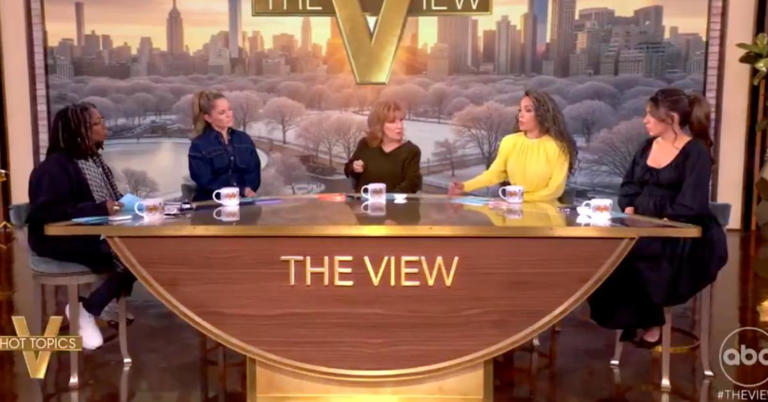 Whoopi Goldberg acknowledges 'not all ICE agents are out of control ...