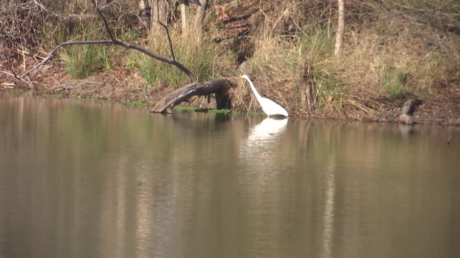 North Augusta places ban on local fishing spot, anglers speak out