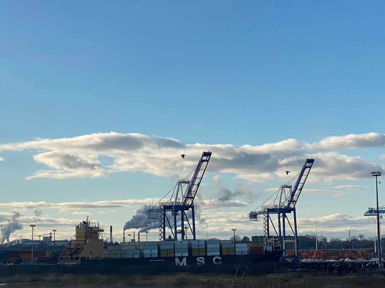 Federal transport minister says Saint John port 'essential for Canada's ...