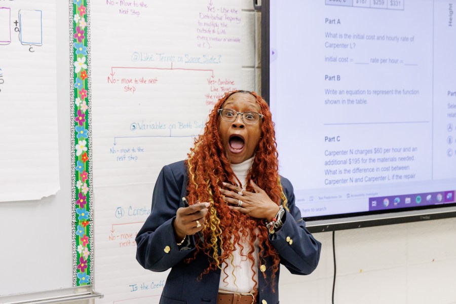 Pillans teacher called 'Mother of Middle School' wins Golden Apple award