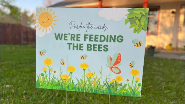 Homeowners come up with clever yard sign to tell new neighbors to 'mind ...