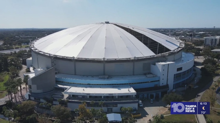 Rays stadium speculation centers on HCC Dale Mabry campus as mayors ...