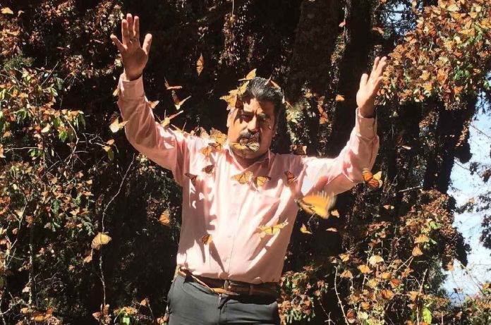 Homero Gómez González y su legado ambiental