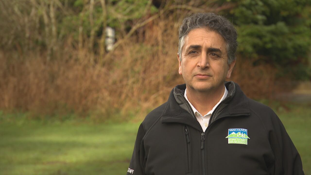 Tree cutting in Vancouver's Stanley Park resumes after looper moth ...