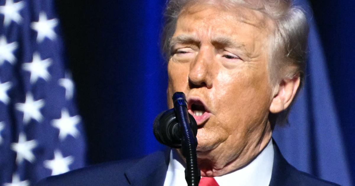 Trump says he bets Renee Good was 'solid, wonderful person' under ...