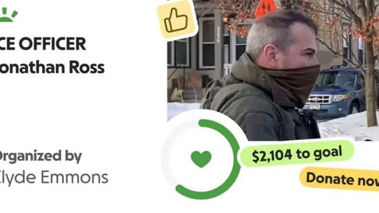 Who is Clyde Emmons? Jonathan Ross GoFundMe creator calls Renee Nicole ...