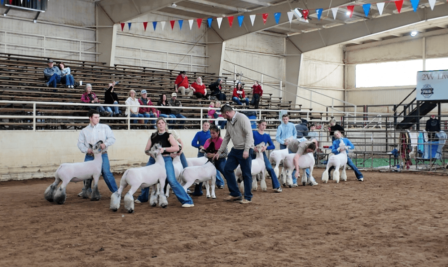 Local youth compete at Lubbock County Junior Livestock Show