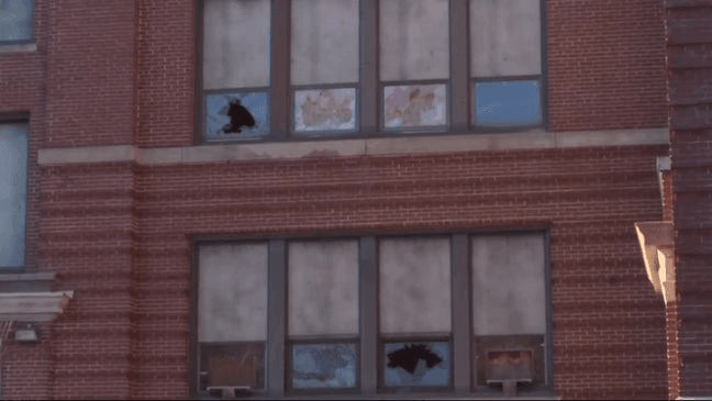 11 teens accused of breaking into abandoned Woonsocket school