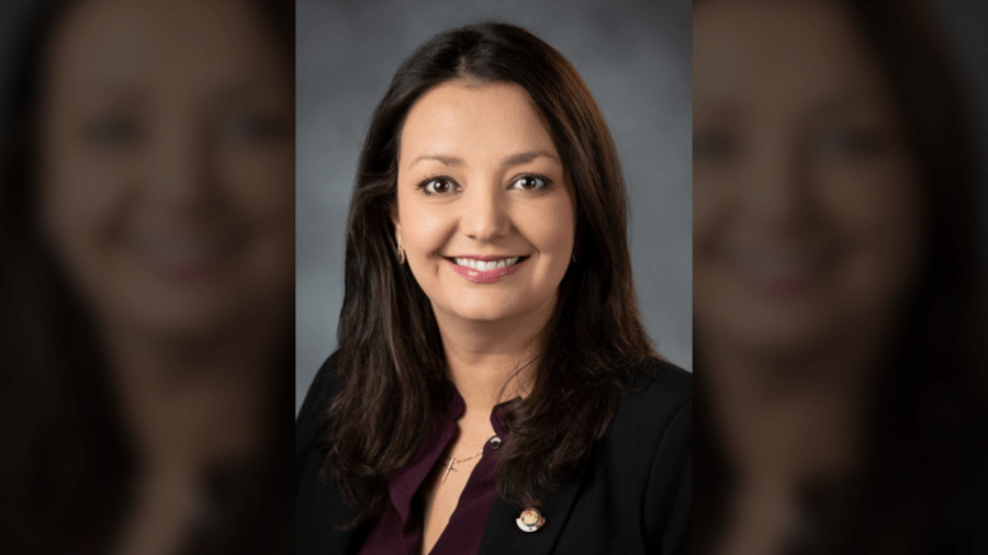 West Virginia senator Laura Chapman resigns from committee chairman ...