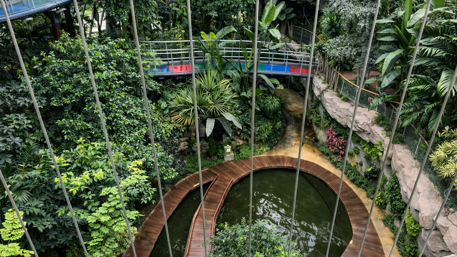 Jelajahi jalur melayang di hutan dalam ruangan China