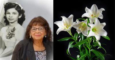 Guadalupe Rodriguez, 87, of Racine – obituary