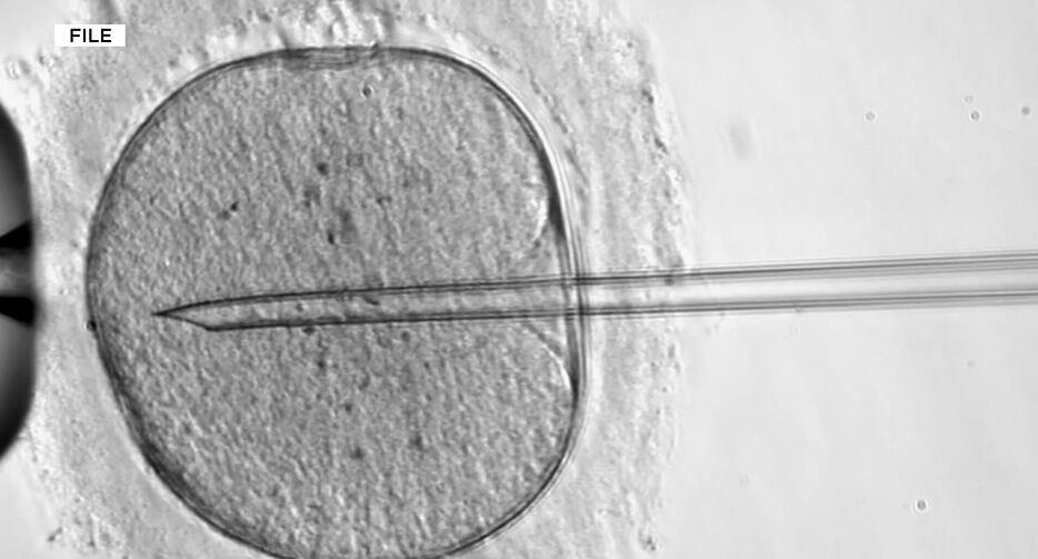 Savannah IVF mix-up case heads to mediation