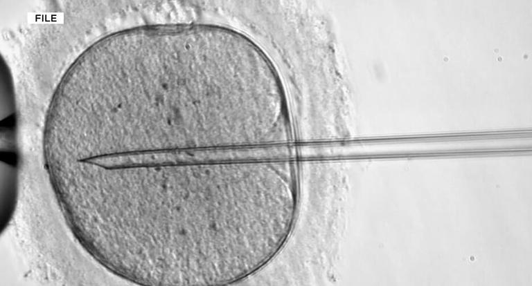 Savannah IVF mix-up case heads to mediation