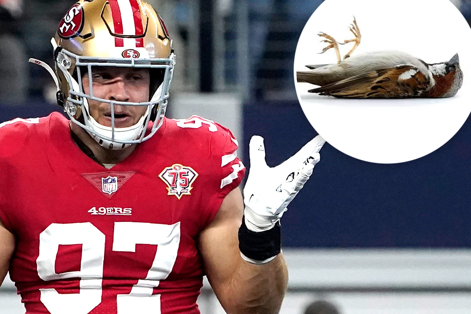 Nick Bosa trolls Eagles after Niners’ playoff win