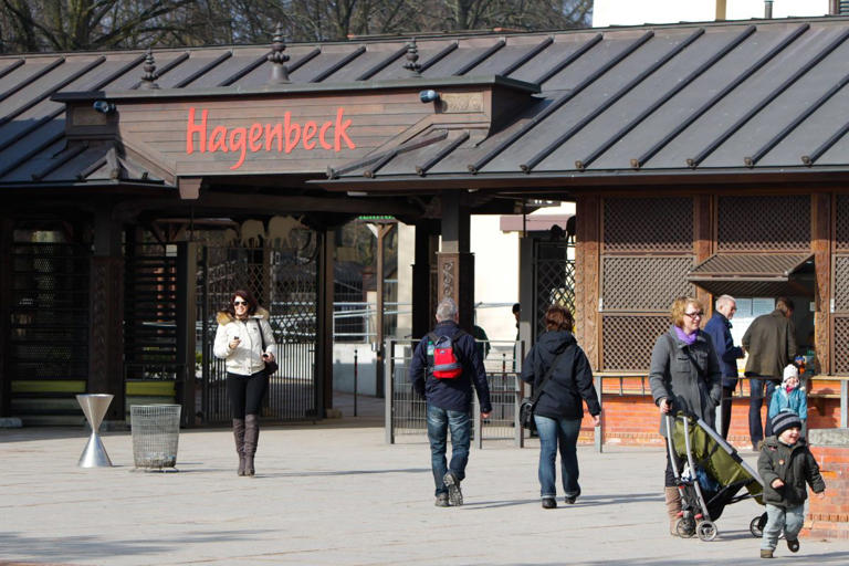 Gute Nachrichten! Zoo im Norden ist endlich zurück