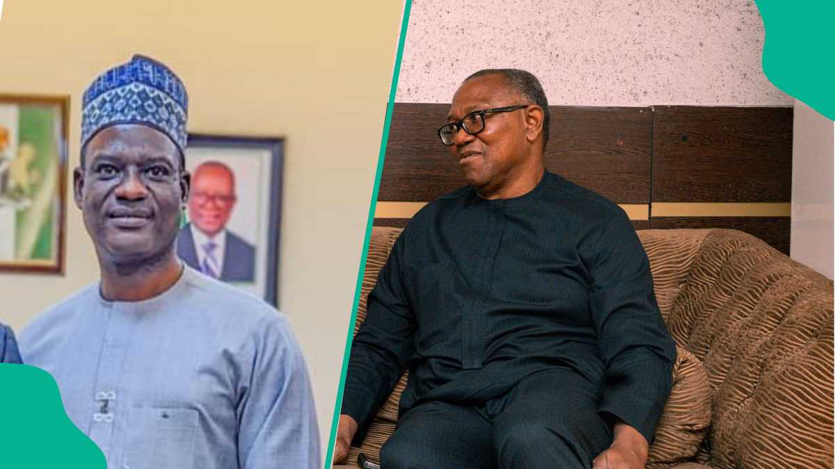 Peter Obi raises concerns over federal tax reforms