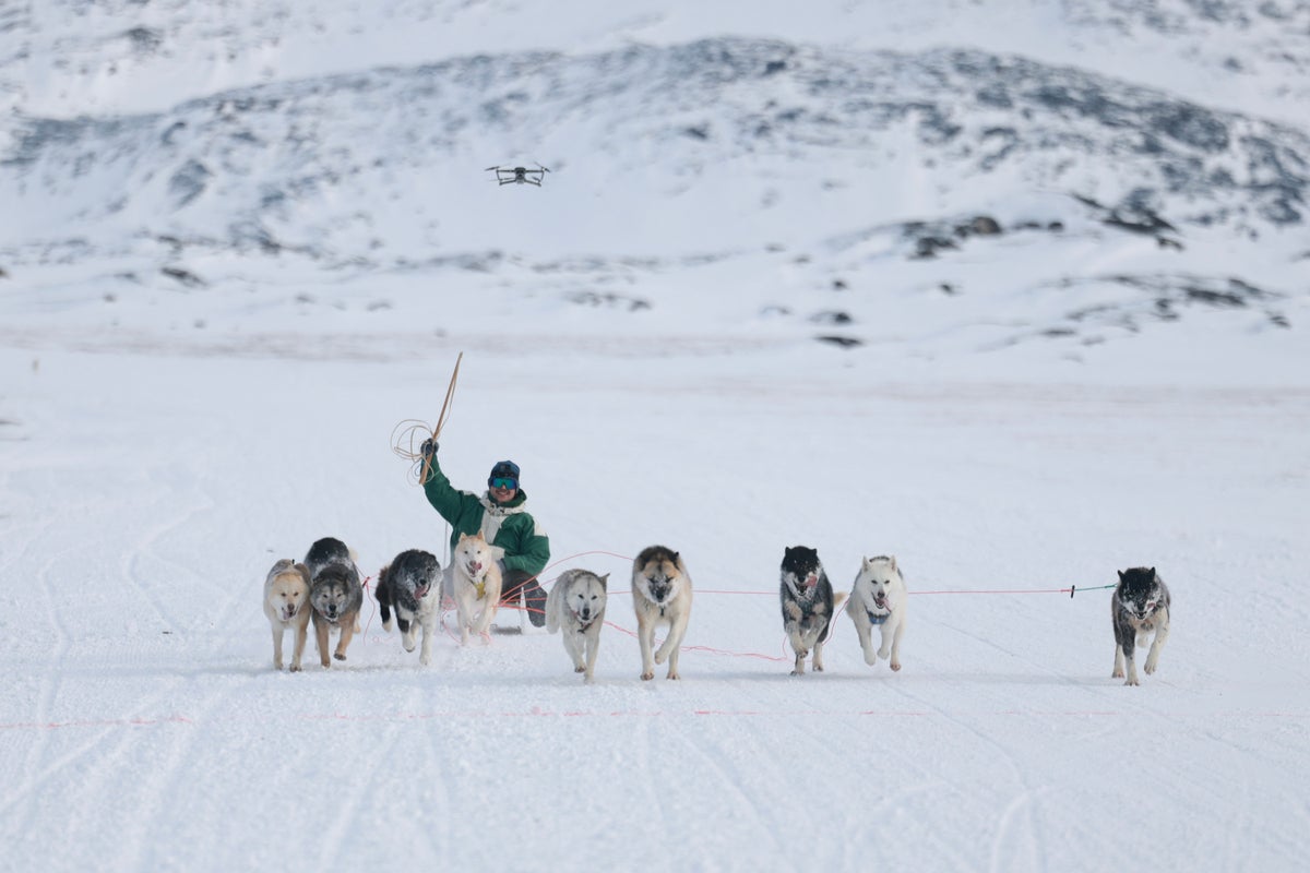 Greenland’s dog sled race asks who invited Trump’s envoy to the event