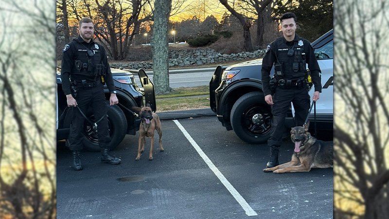 Westerly police adds 2 K-9s to the force