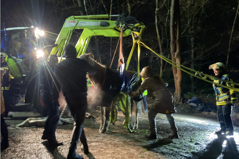 Tierisch glatt: Nur Frontlader kann gestürztes Pferd wieder aufrichten