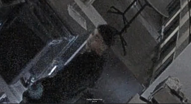 Reward offered for info on NMSU burglaries, vandalism