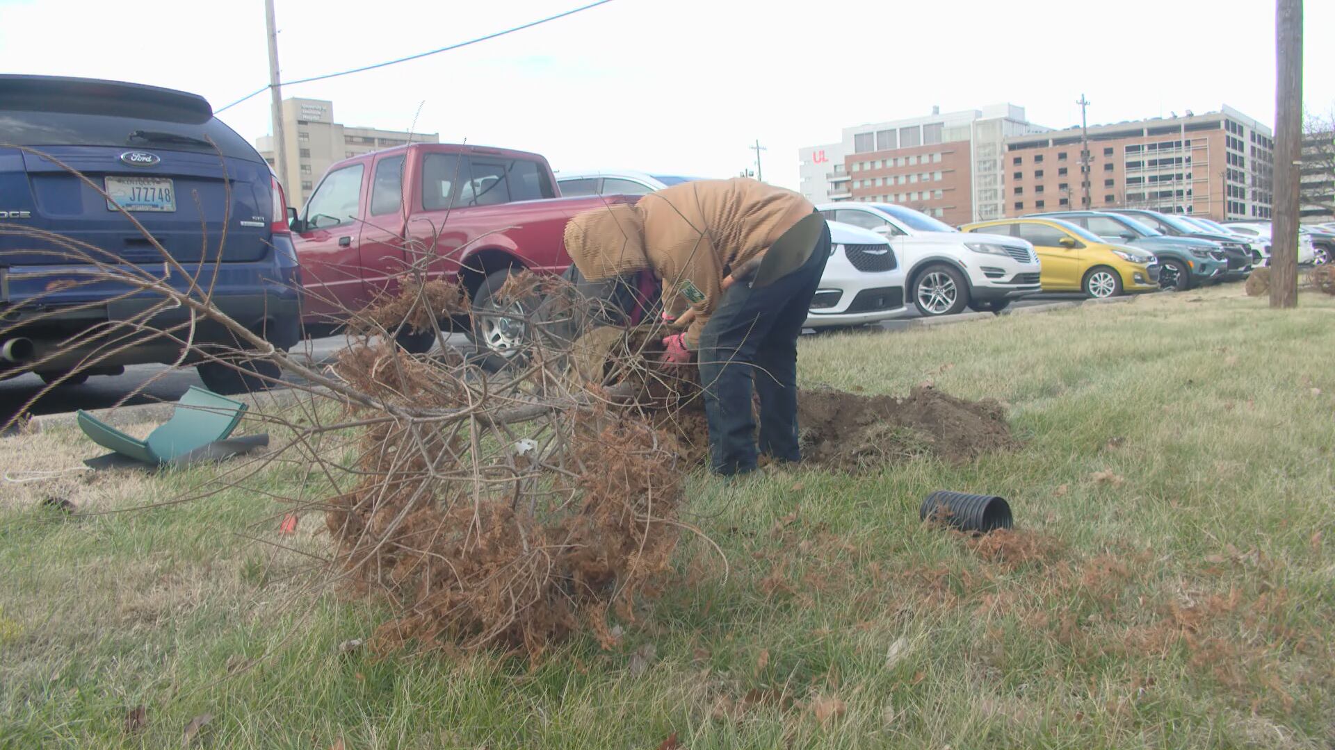 TreesLouisville plants 38 new trees in LOUMED District