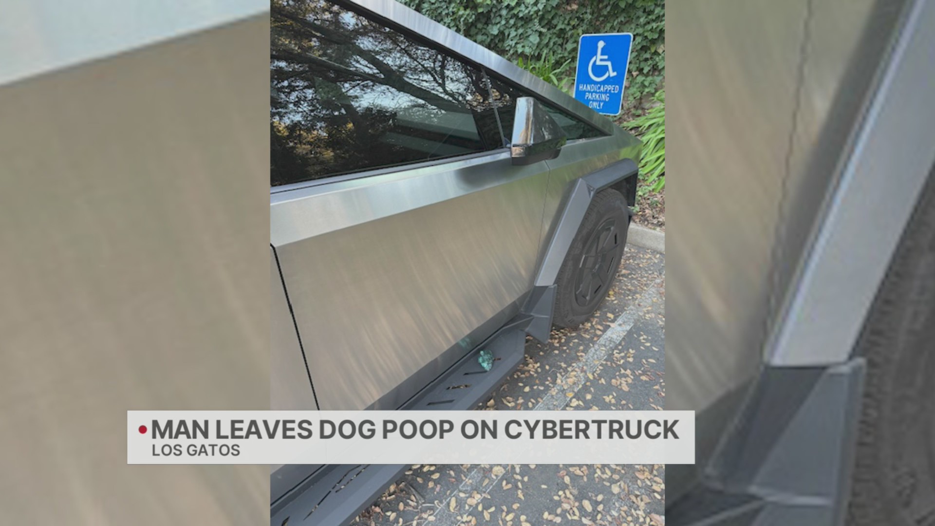 Man leaves dog poop on parked Cybertruck in South Bay
