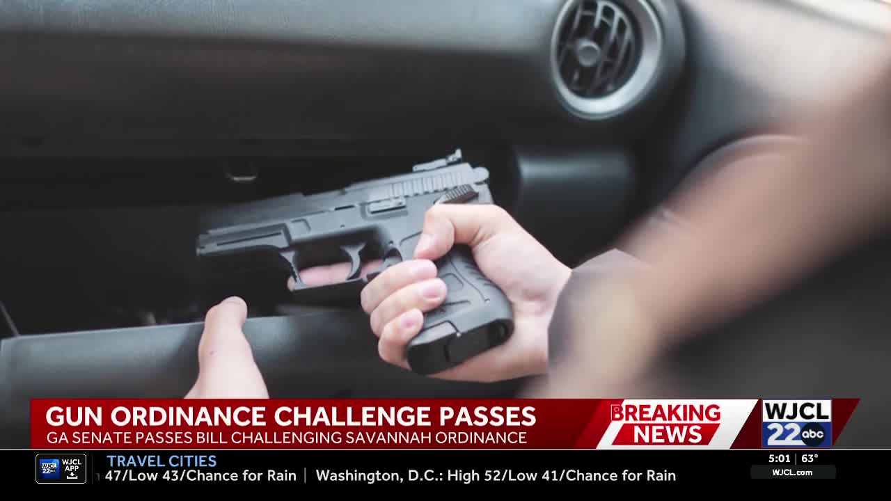 Georgia Senate targets Savannah gun ordinance